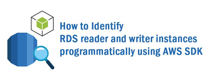 How to Identify RDS Reader and Writer Instances Programmatically Using ...